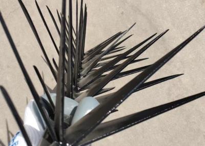 China 1m Length Large Sized Black Colored Anti Climb Wall Spike For Security for sale