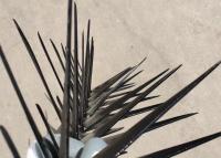 China Anti Climbing Security Galvanized Wall Spikes On Top / Wall for sale