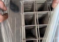 China Hot Dipped Galvanised Welded Wire Mesh Panel / Welded Wire Netting 1/4 Inch for sale