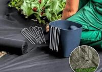 China Galvanized Landscape Staples U Shaped Lawn Turf Nail for sale
