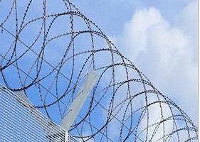 China Blade Fencing Barb 450mm Concertina Razor Wire Bto-18 for sale