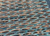 China Grip Strut Safety Grating Stair Treads - Aluminum & Galvanized Steel, 1.5-5mm Thickness, 4m Length for sale