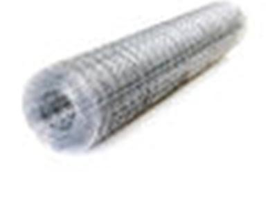 China Electro Welded Galvanized Bird Cage Welded Iron Wire Mesh Multifunctional for sale