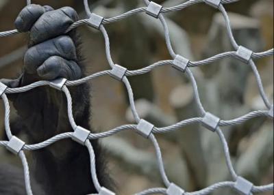 China Hot Sale Flexible Stainless Steel Rope Mesh Wire Rope Mesh for sale
