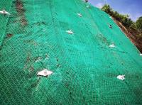 China Tecco High-Tensile Mesh in Slope Stabilization for sale