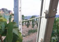 China 2.0-2.8m Cheap Galvanized Grape Post Steel Metal Vineyard Trellis Post for sale