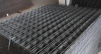 China PVC Coated Welded Wire Fence Mesh Panels Rolls Price for Garden Agriculture Poultry for sale