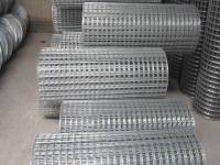 China 304/316/316L Stainless Welded Wire Mesh with Factory Price High Quality Welded Steel Mesh for Sale for sale
