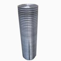 China Best Price Building Material Galvanized Welded Wire Mesh on Sale for sale