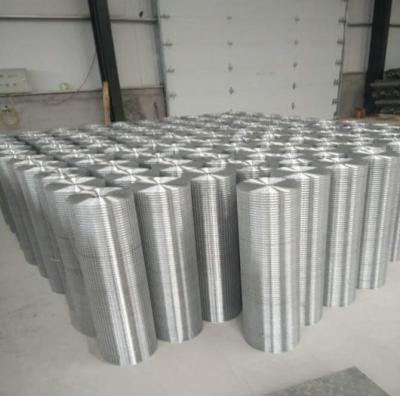 China Hot Dipped Galvanized 1/2 Inch Welded Wire Mesh for Chicken Coop Vegrtables Garden and Home for sale