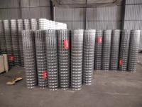 China Stainless Steel 304/316/Galvanized/PVC Coated Welded Wire Mesh for Building for sale