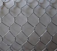 China Durable 2-Inch Hole Chicken Wire Netting for Poultry Farms for sale
