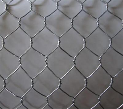 China Durable 2-Inch Hole Chicken Wire Netting for Poultry Farms for sale