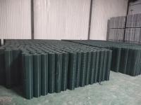 China Galvanized PVC Coated Black Colored Cheap Welded Wire Mesh Roll 1m X 30m for sale