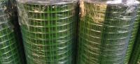 China Galvanized/PVC Coated Welded Wire Mesh Roll for Raising Animals for sale