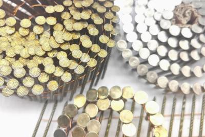 China China Factory Pallet Nail Paint Coating Colleted Spiril Shank Coil Roofiing Nail for sale