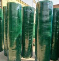 China Best Seller Cold Galvanized Outwall Anti Cracking Welded Wire Netting 1/2*0.40mm for sale