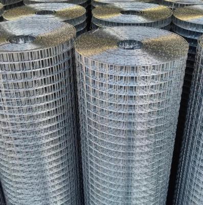 China Best Seller Cold Galvanized Outwall Anti Cracking Welded Wire Netting 1/2*0.40mm for sale