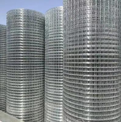 China 1/2 Inch Galvanized Welded Wire Mesh for Protection and Construction for sale