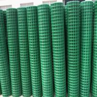 China Galvanized/PVC Coated Construction Filter Aviary Welded Wire Mesh Direct Factory for sale