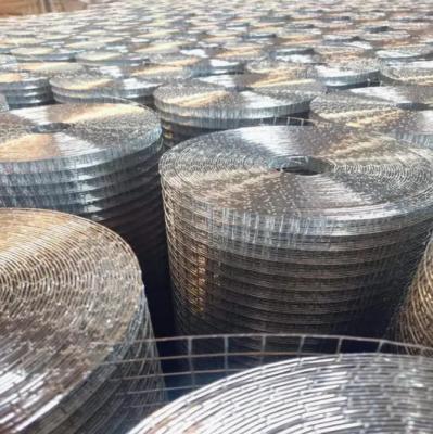 China Galvanized/PVC Coated Construction Filter Aviary Welded Wire Mesh Direct Factory for sale