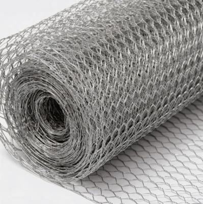 China Factory Price PVC Coated Hexagonal Wire Mesh Chicken Cage Wire Mesh for sale