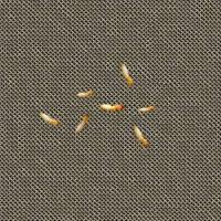 China AISI 304 316 316L Anti-termite Stainless Steel Woven Wire Mesh Screen for sale