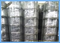 China ASTM 1/8-4 Inches Galvanized PVC Coated Stainless Steel Welded Wire Mesh for sale