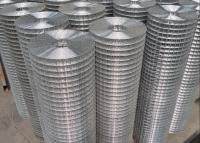 China Square Construction Steel Galvanized Stainless Breeding Net Welded Wire Mesh Hot Sale for sale