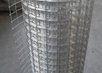 China Wholesale Small Hole 1/2 2X2 Galvanized Welded Wire Mesh Price for sale