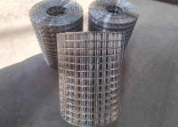 China 1/2 Inch Galvanized Welded Wire Mesh for Protection and Construction for sale