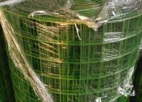China Hot-Dipped Glavanized/Stainless Steel/ Black Wire Welded Wire Mesh for sale