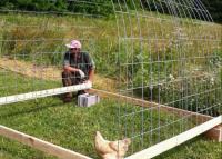 China Wholesale Galvanized Fence 2X4 Welded Wire Mesh Panel From China for sale