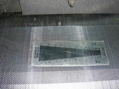 China Stainless Steel Security Prevent Insects Mosquito Thievery Screen Insect Screen for sale