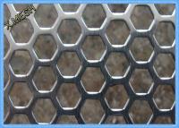 China Factory Customize Perforated Metal Mesh/Punching Hole Netting for sale