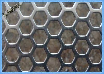 China Factory Customize Perforated Metal Mesh/Punching Hole Netting for sale