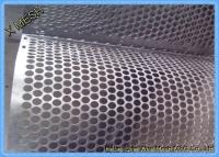 China Factory Customize Perforated Metal Mesh/Punching Hole Netting for sale