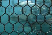 China 2.0-4.0mm Polyester Gabion Net Pet Ecological Gabion Net for sale