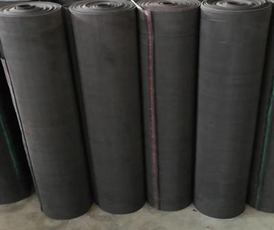 China Plain Weave Stainless Steel Wire Mesh 0.02-5.0mm Mild Steel Wire Mesh/Black Iron Wire Cloth for sale