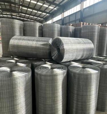 China Galvanized Welded Wire Mesh Rolls - Perfect for Pigeon Houses & Aviaries for sale
