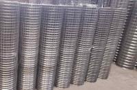 China High Quality Galvanized Hot DIP Heavy Duty PVC Powder Coated Welded Wire Mesh Opening and Types Rolls for sale