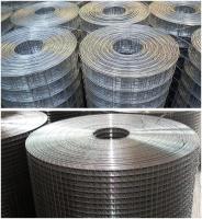 China Electro Galvanized Iron Wire Mesh Welded Wire Mesh Roll for Poultry for sale
