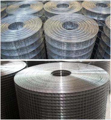 China Electro Galvanized Iron Wire Mesh Welded Wire Mesh Roll for Poultry for sale