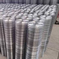 China High Quality Hot DIP Galvanized Welded Wire Mesh Roll Packed for sale