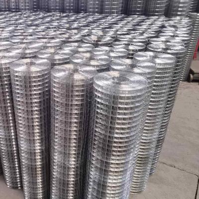 China High Quality Hot DIP Galvanized Welded Wire Mesh Roll Packed for sale