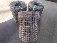 China 2X2inch Hot Dipped Galvanized Heavy Duty Welded Wire Mesh Rolls for Fence for sale