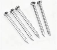 China Multi-Channel Available Common Nails Construction Common Nails for sale