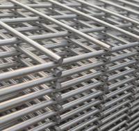 China High Quality Electro or Hot Dipped Galvanized Welded Wire Mesh Panels for sale