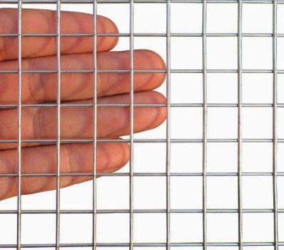 China 3X3 Galvanized Sheet Cattle Welded Wire Mesh Panel for sale