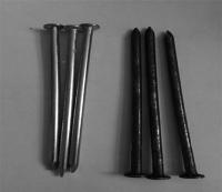 China Galvanized Common Wire Nails Smooth Shank Type Round Flat Head Nails for sale